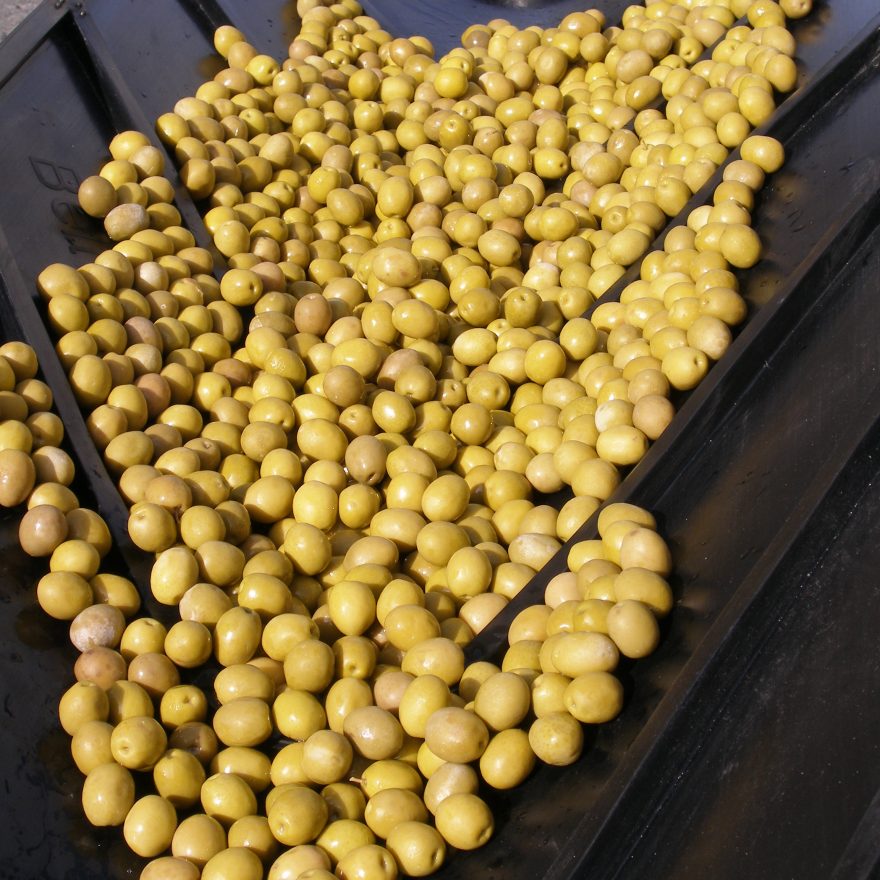 Siban – Bandas transportadoras